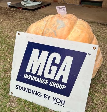 A Giant Success: 2025 Murray River Giant Pumpkin Competition | MGA ...
