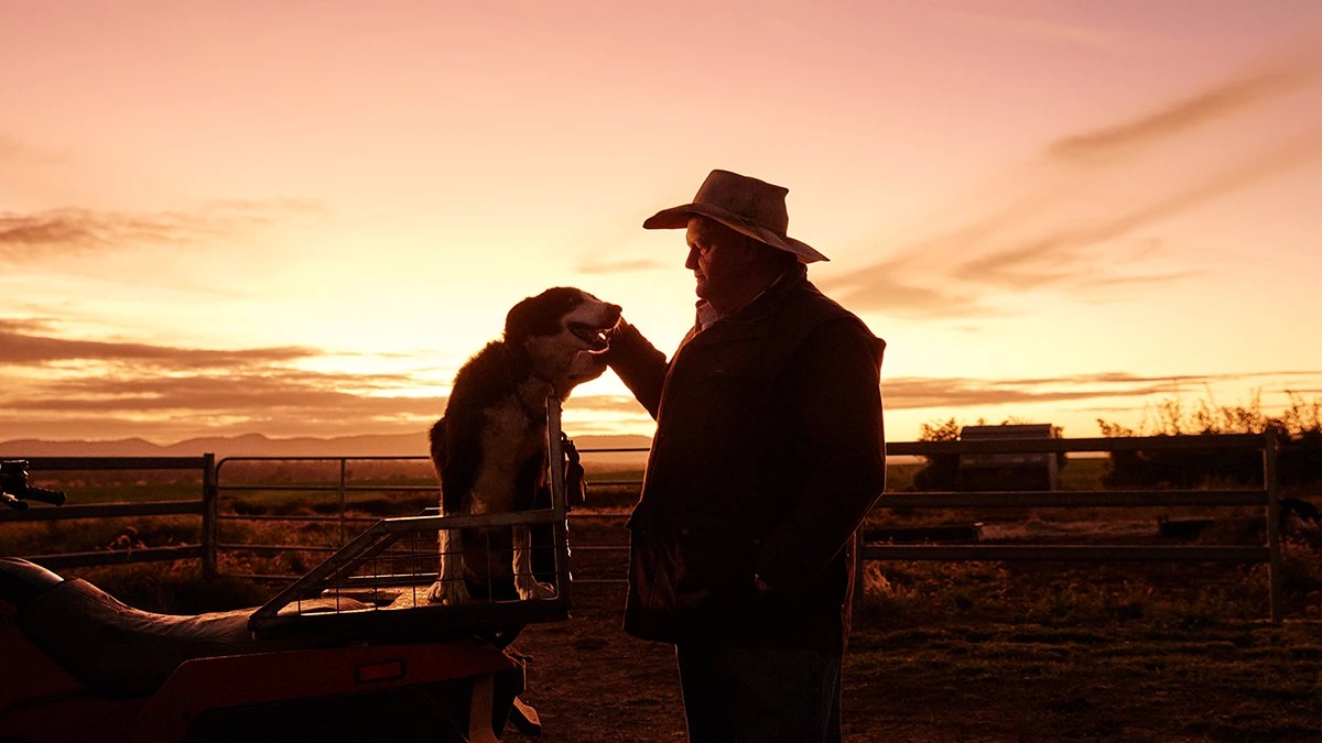 MGA Insurance Group - Farm Management Liability – Why Do I Need It?